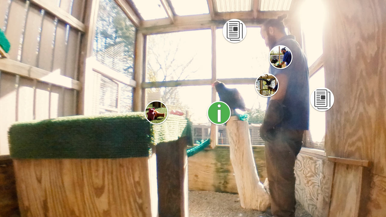 360° Experience | Raptors - Detroit PBS