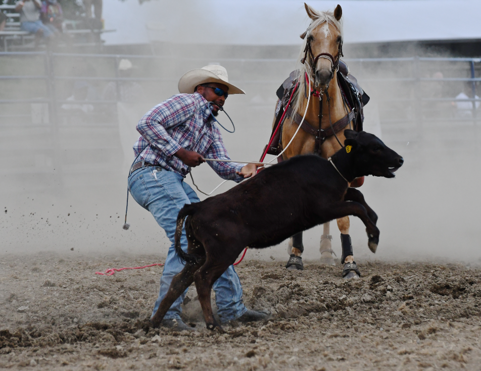 Black Cowboys and Cowgirls: The Cultural History of the Black Rodeo ...