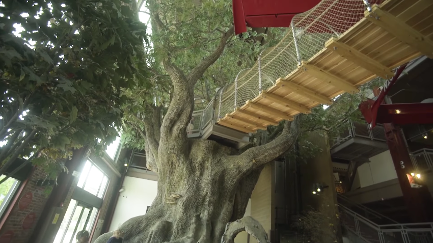 One Detroit | DNR Outdoor Adventure Center - Detroit PBS