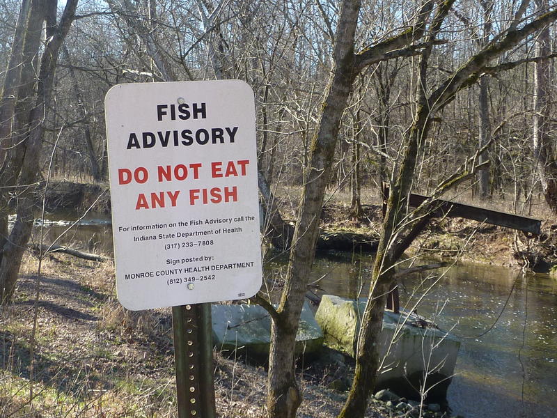 PFAS: All fish in Michigan’s Huron River unsafe to eat - Detroit PBS