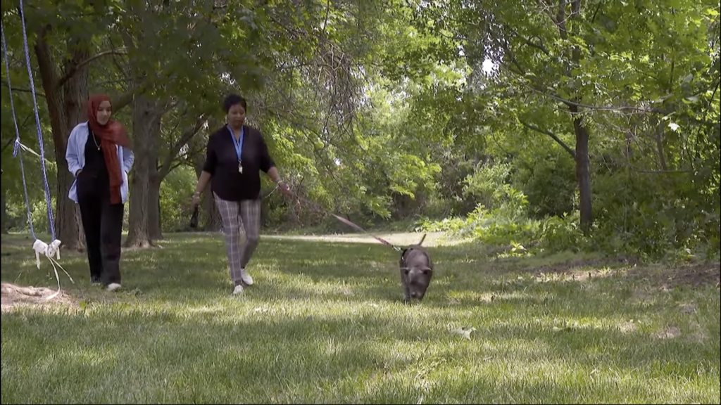 Woman experiences homelessness in Detroit after husband dies of COVID ...