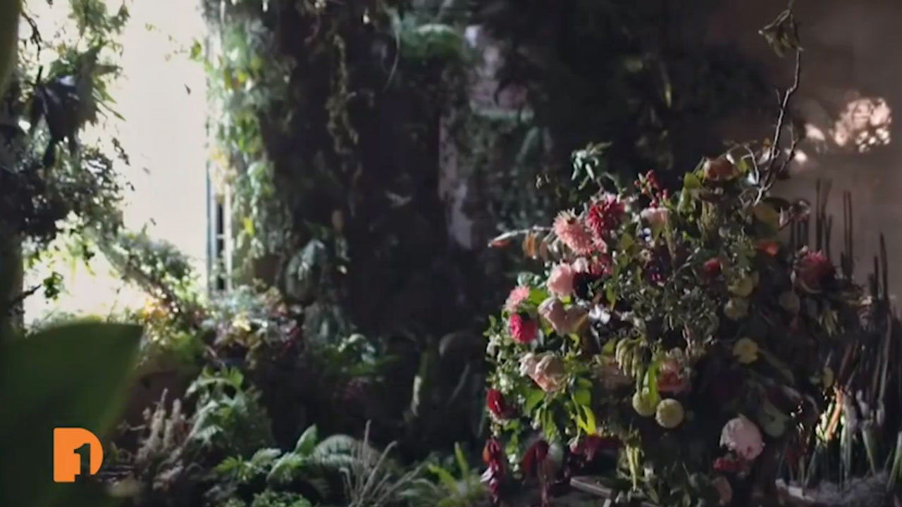 Flower Power: The Plant Palette of Lisa Waud - Detroit PBS